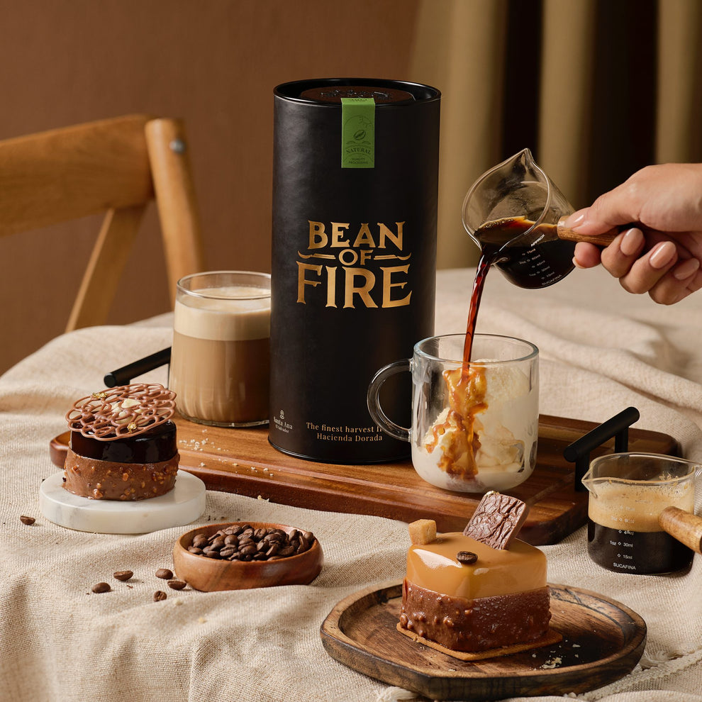 Pacamara Coffee | Bean of Fire