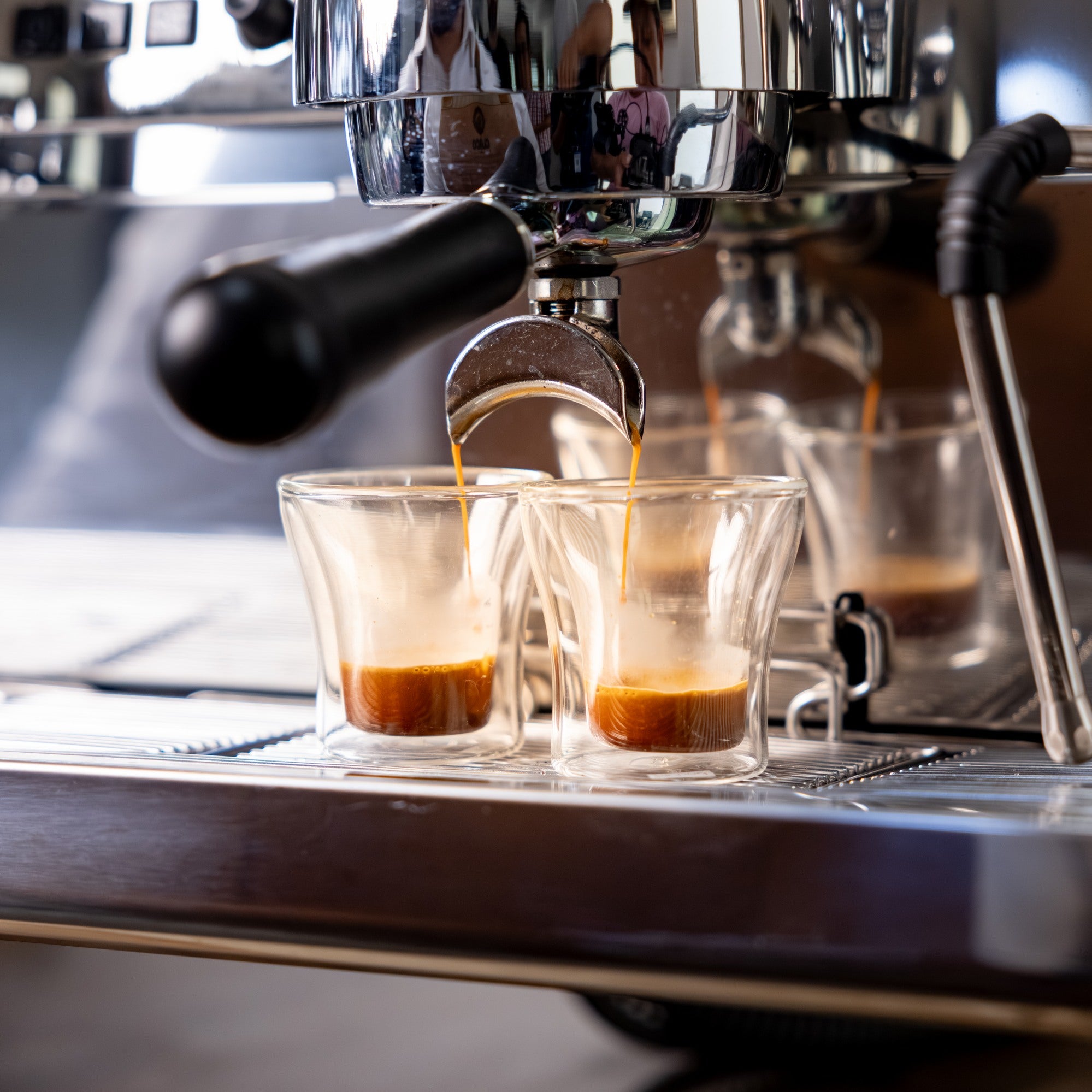 Maragogipe Coffee | Bean of Fire