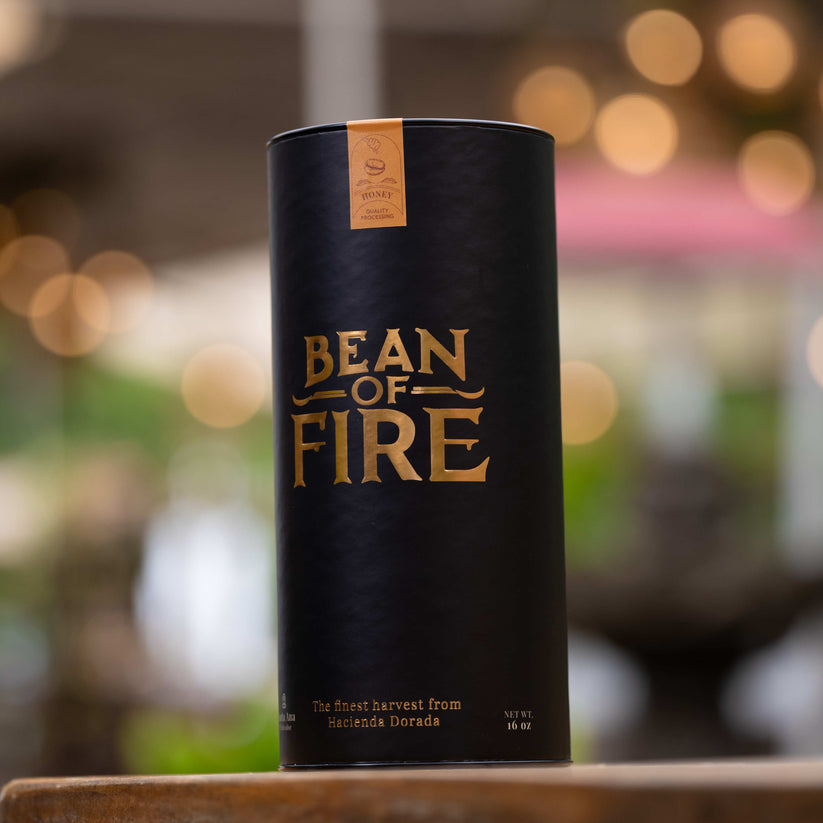 Pacamara Coffee | Bean of Fire
