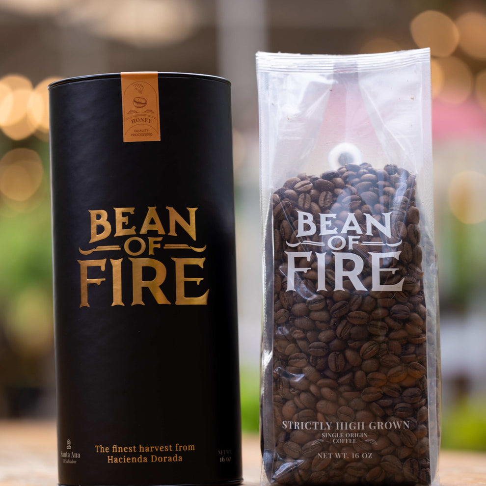 Pacamara Coffee | Bean of Fire